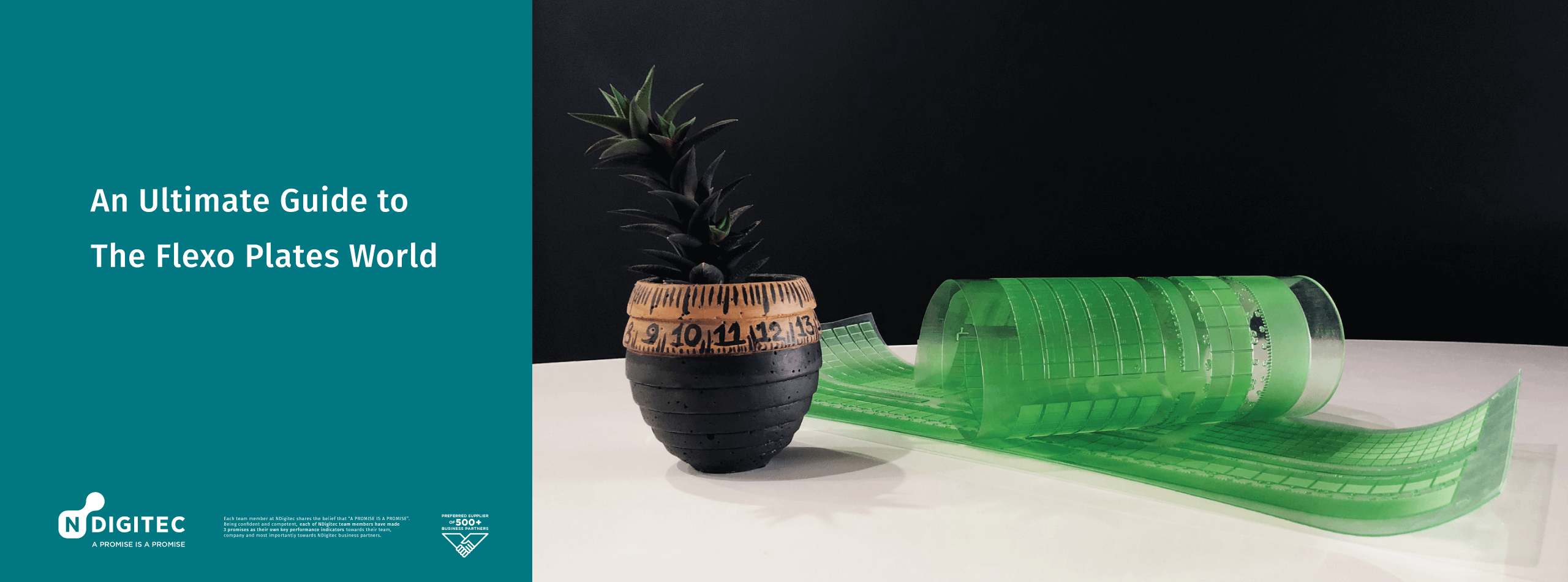 An Ultimate Guide to the Flexo Plate World I NDIGITEC Blog